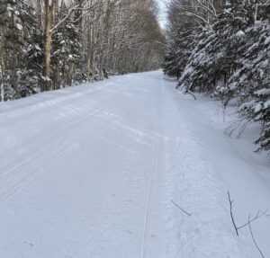 Starting to roll snowmobile track | ilsnow.com